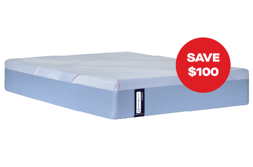 Official Sealy® Website | Shop Mattresses, Pillows, Power Bases & More ...